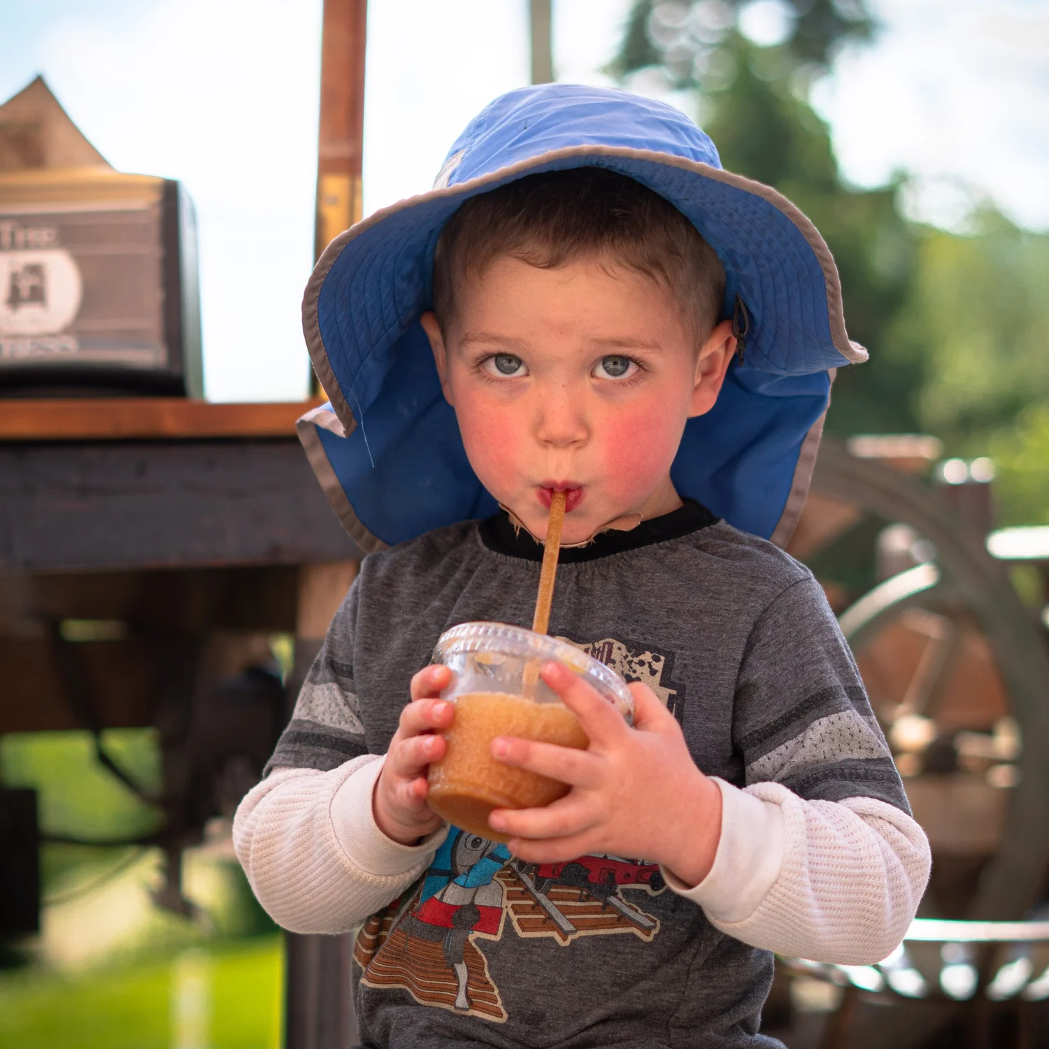 Plan Your Visit — Davison Orchards