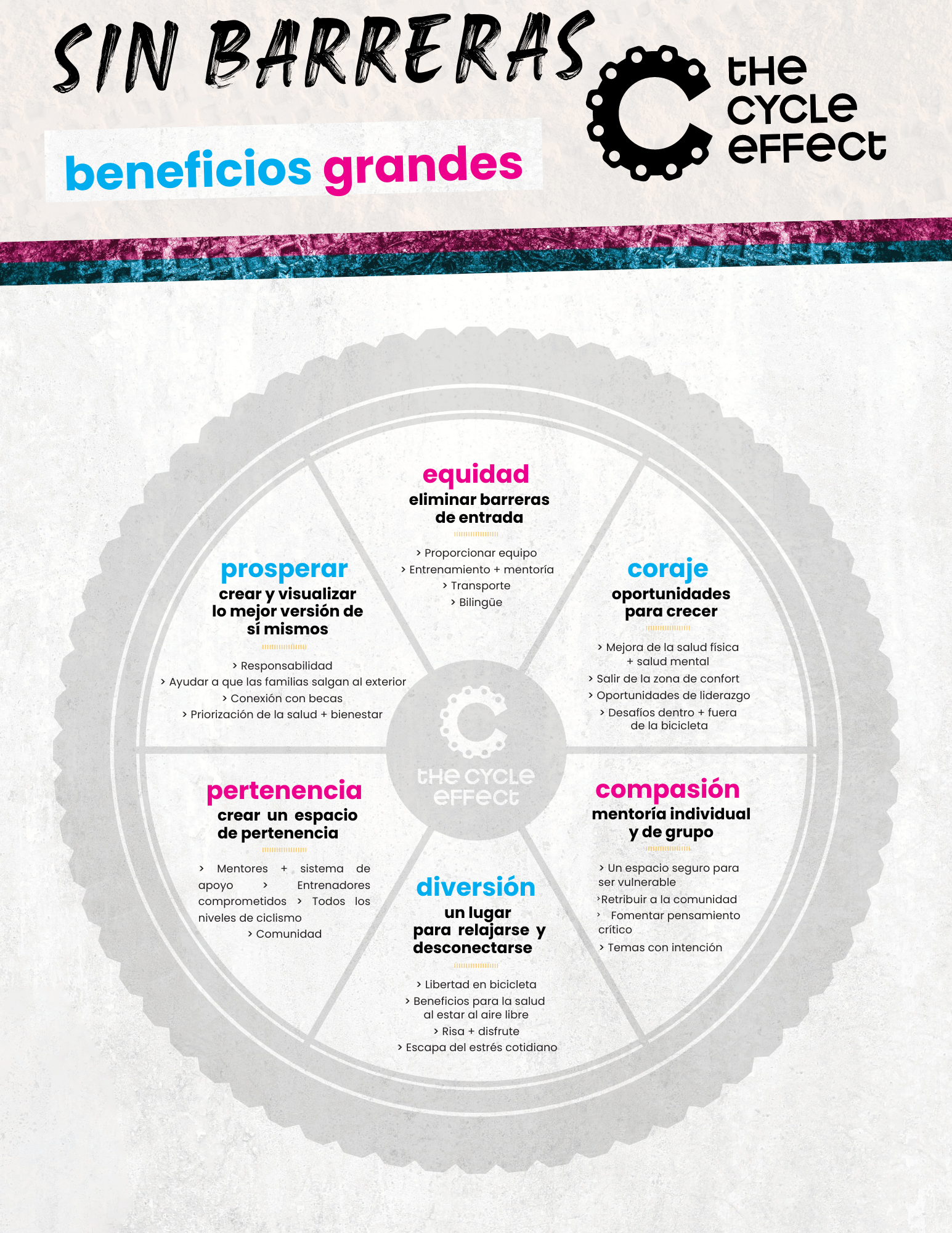 Our Vision — The Cycle Effect