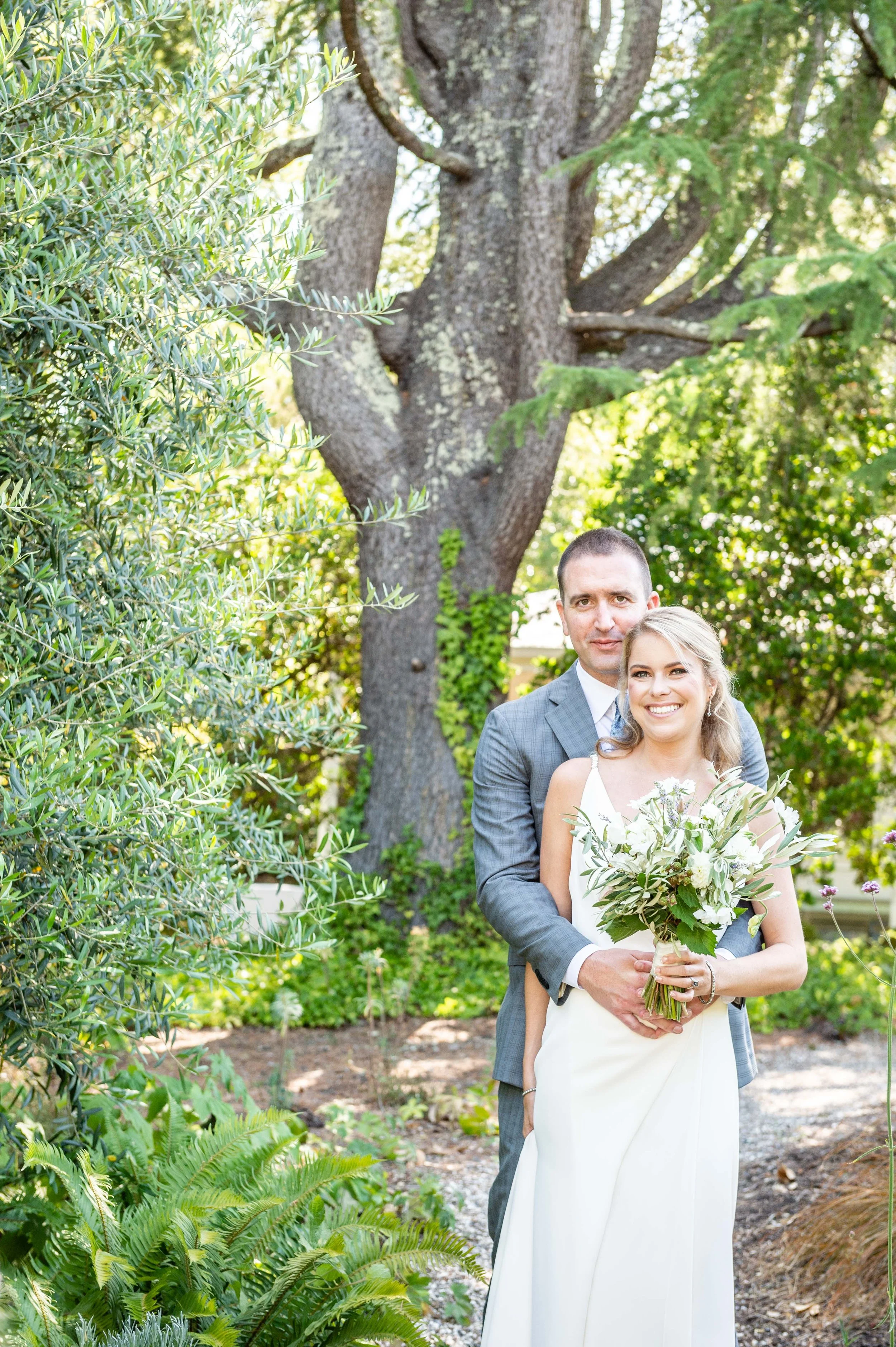 Gallery — Olive Oaks