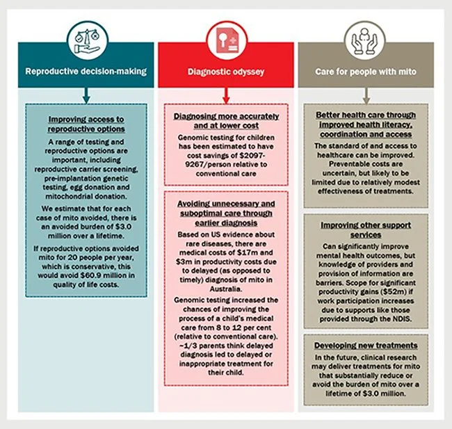 Preventable burden of mito — The CIE — Boutique Economic Consultancy ...