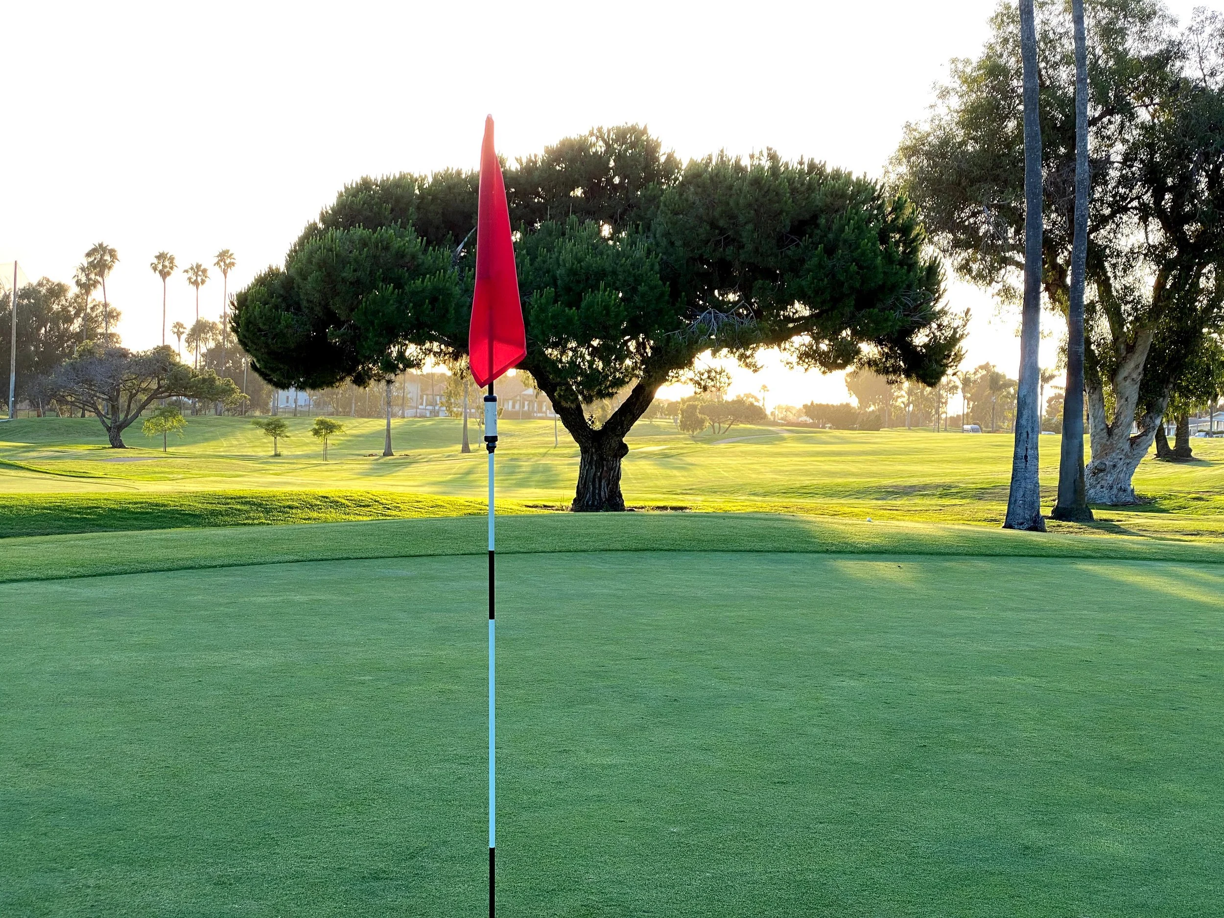 LOCAL GUIDE for Golf in San Clemente