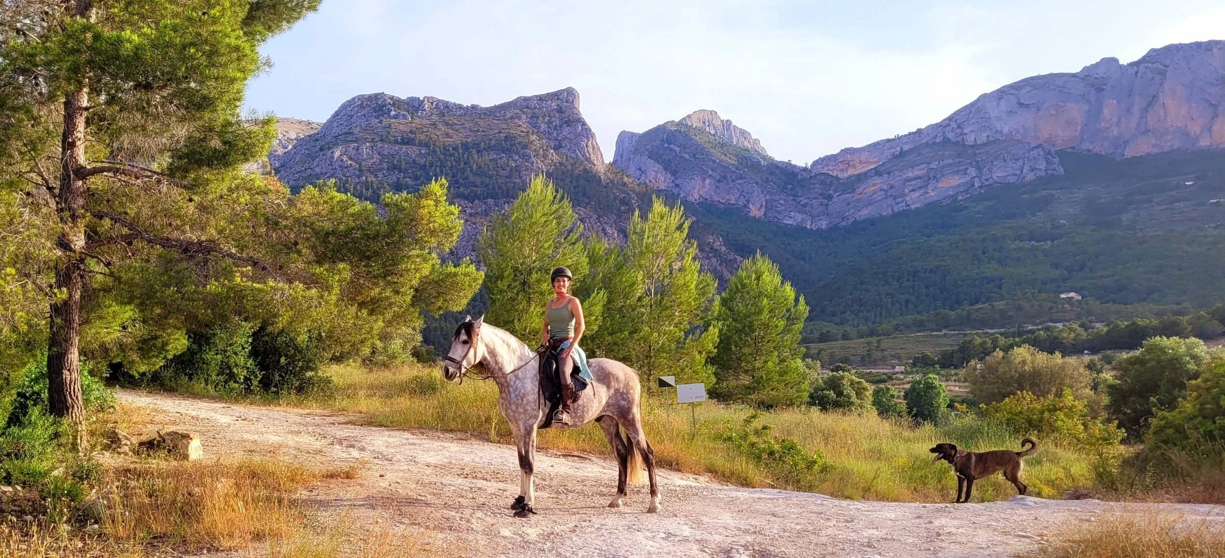 About me - Hi I am Suzi, I am a Holistic Business and Life Consultant ...