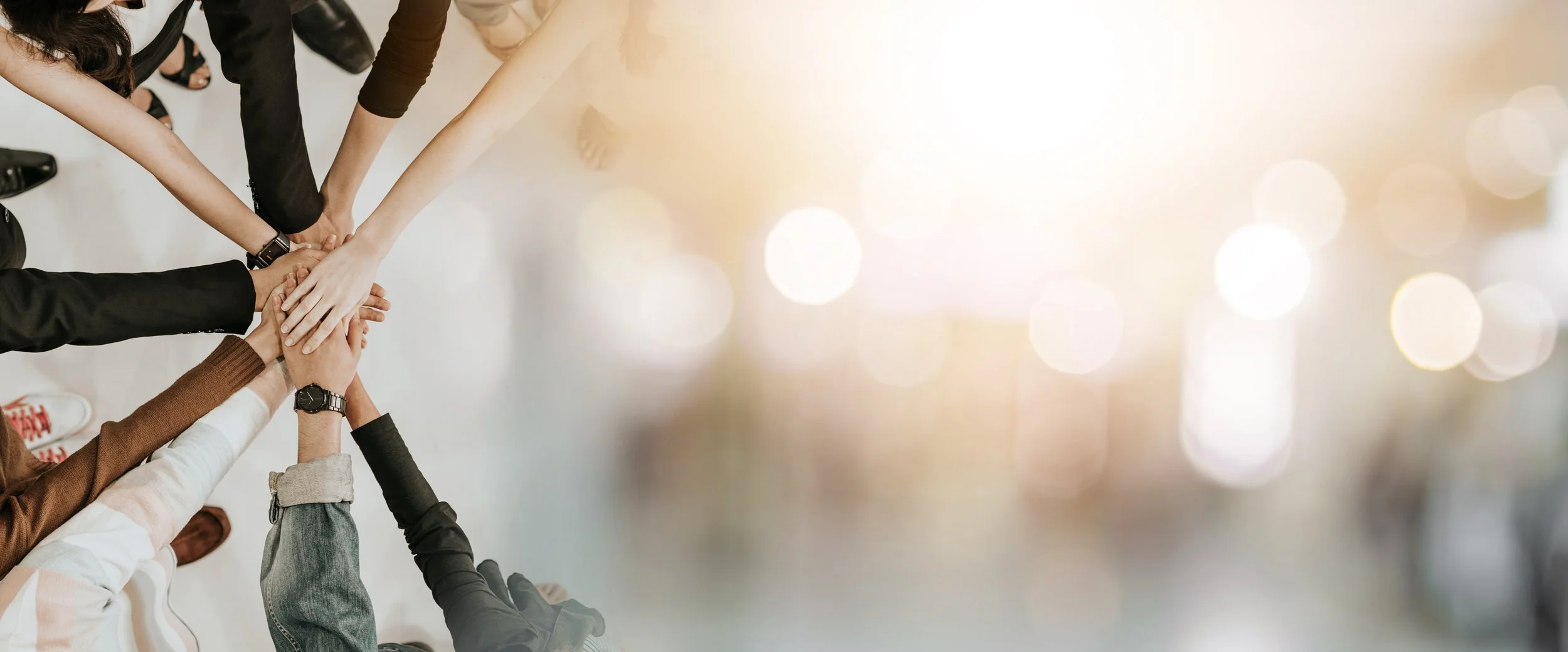 Samvirke — Norges Vel