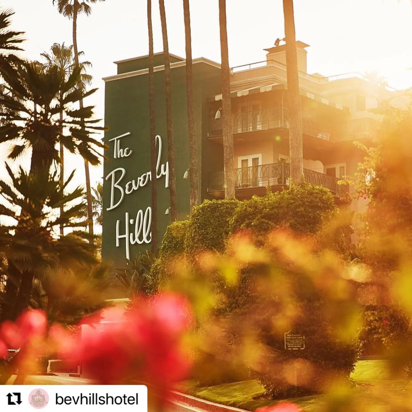 Matthew Kalinowski "Matt Kalin" | Marketing & Design Portfolio