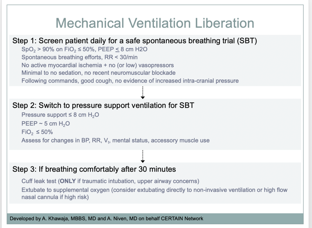 CERTAIN Vietnam — CERTAIN
