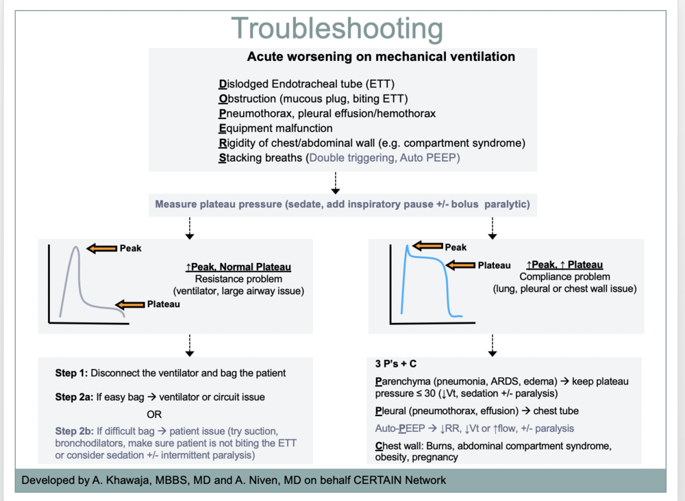 CERTAIN Vietnam — CERTAIN