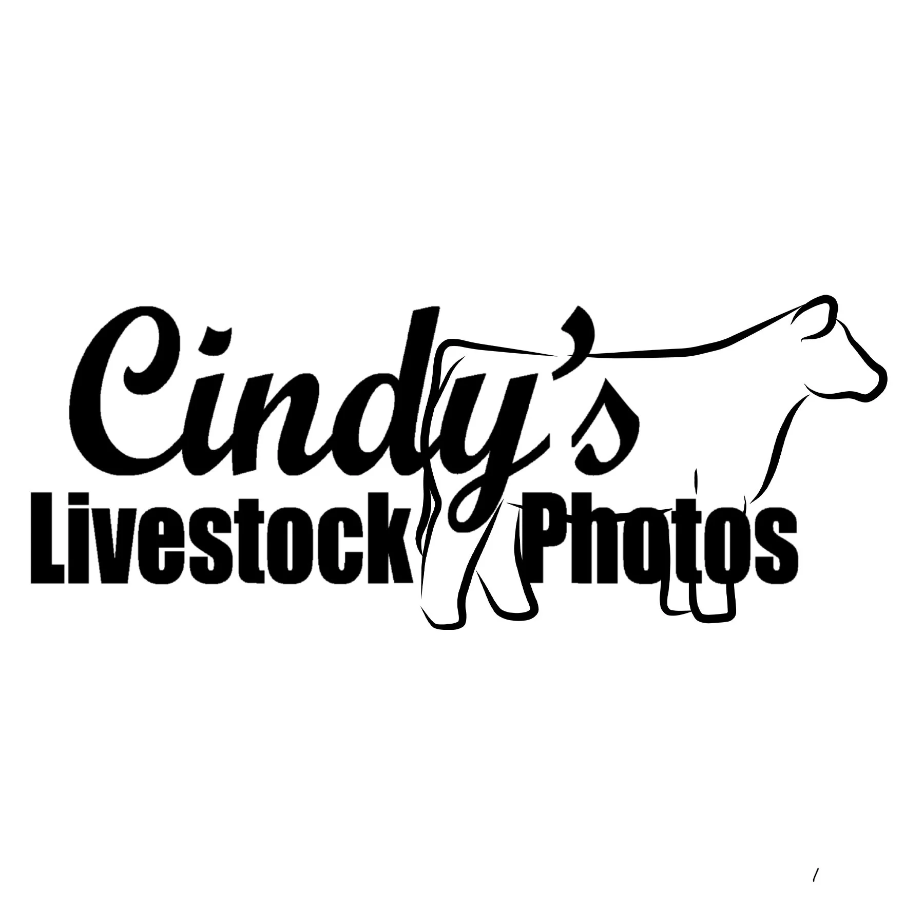 Logos — Double Nickel Photography + Design
