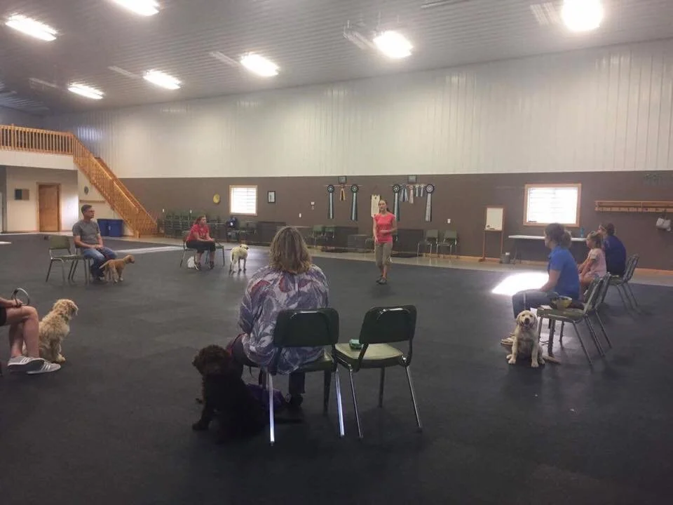 Group Classes — Canine Initiative Training