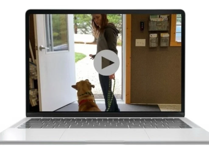 Online Learning — Canine Initiative Training
