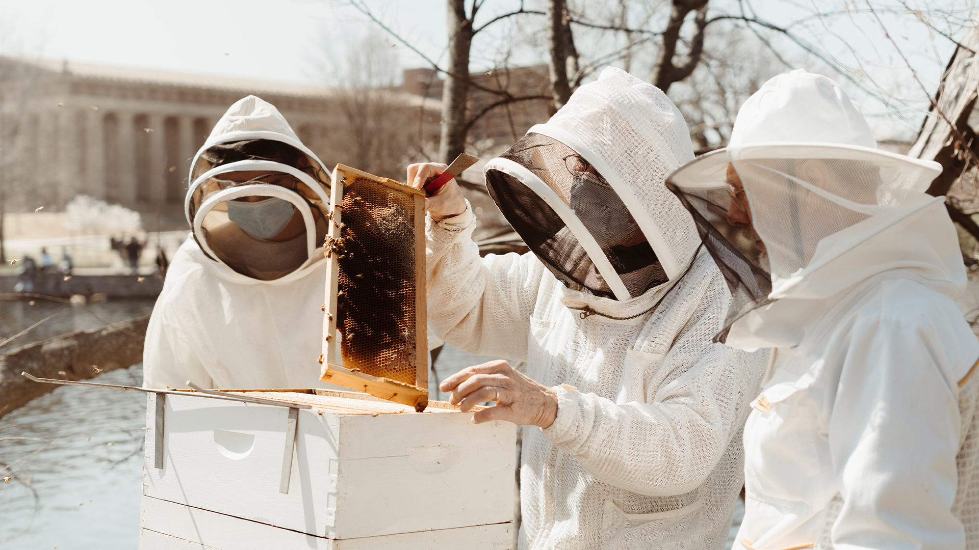 Environmental Projects | NASHVILLE EARTH DAY