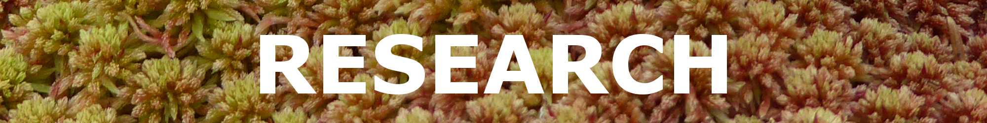 Research — John Boyette