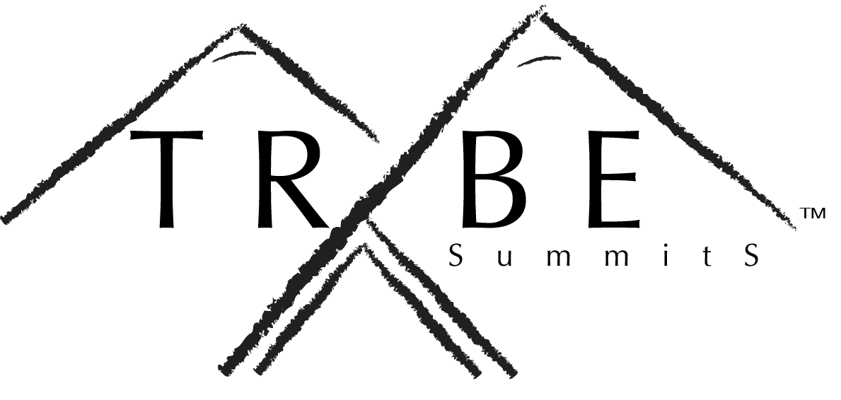 Trybe Summits