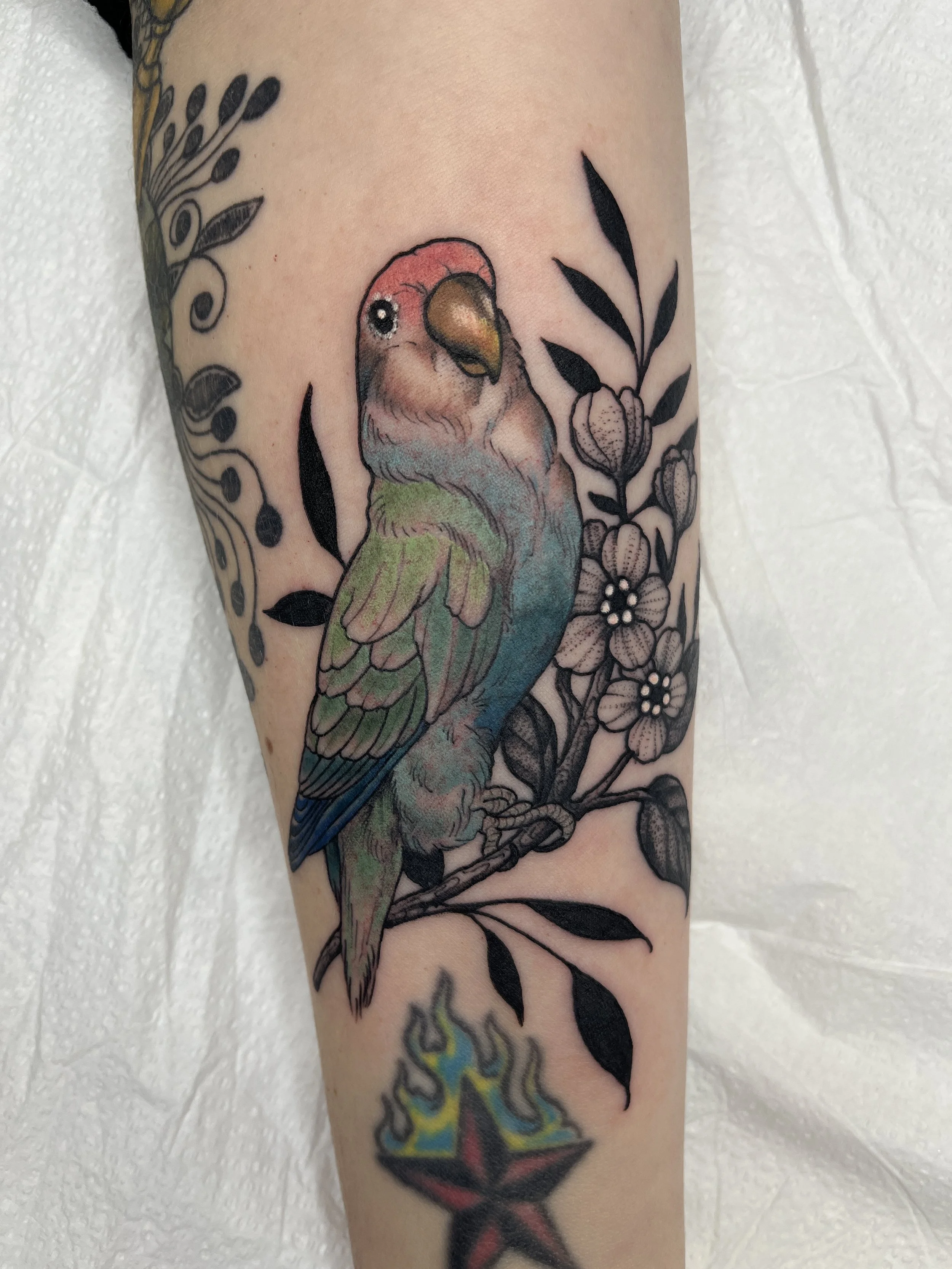 Combination Color/Blackwork — Samantha C. Ford