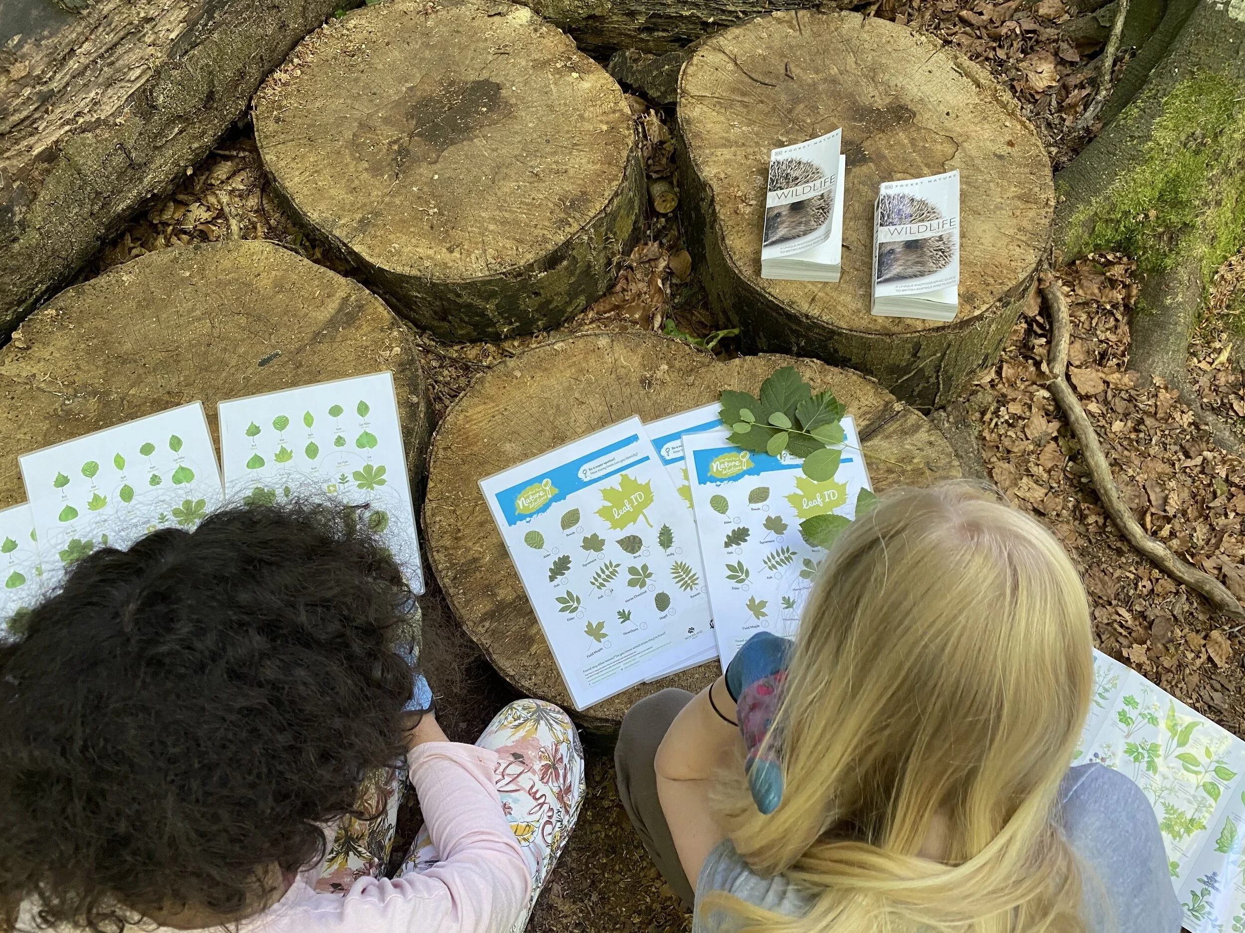 Forest School (Home Ed) — The Forest School Company