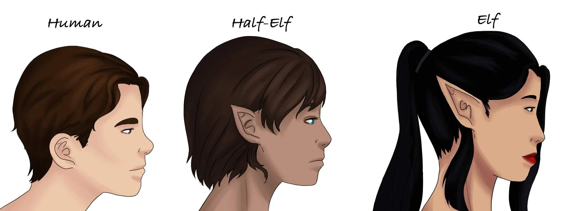 The Difference Between Elves And Half Elves Meddlesome Art