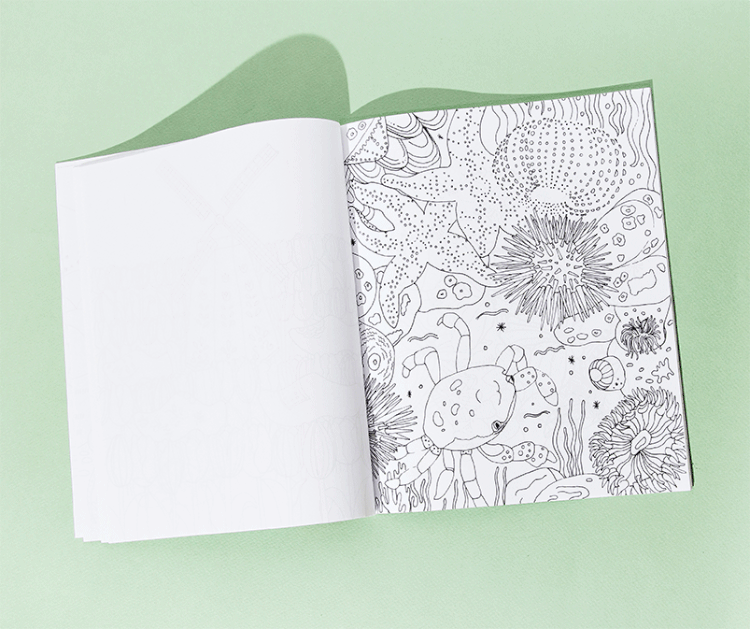 Oregon Coloring Book — Jennifer Reynolds Studio