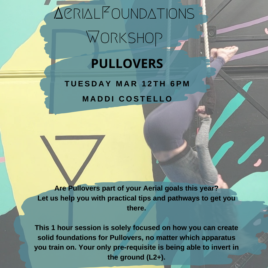 Adults Aerial Workshops — HAPY Studio