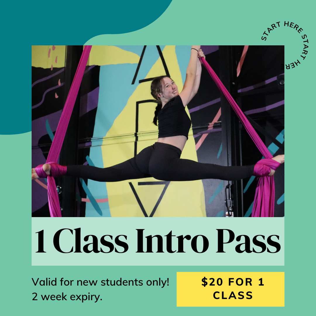 Adults Aerial Classes — HAPY Studio