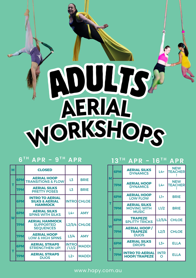 Adults Aerial Workshops — HAPY Studio