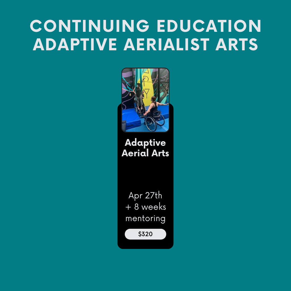 Aerial Wisdom Pricing — HAPY Studio