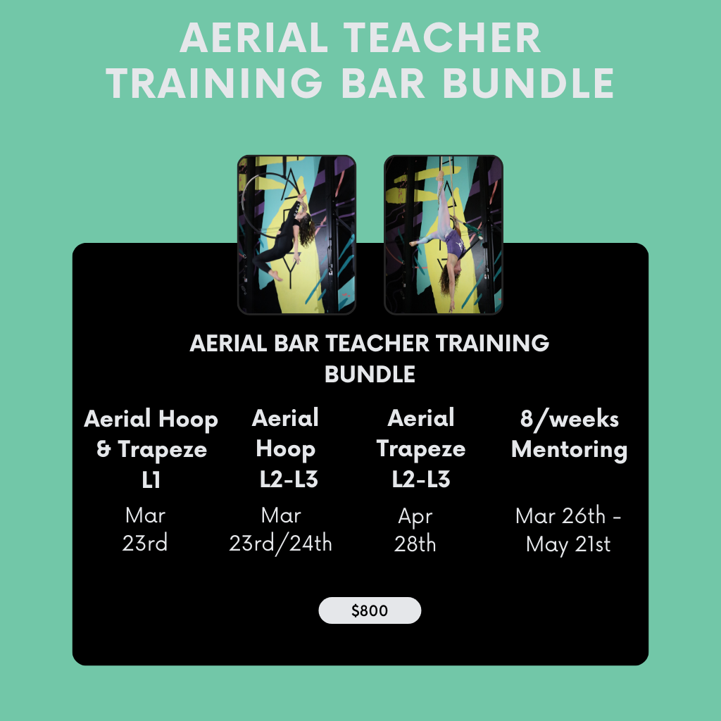 Aerial Wisdom Pricing — HAPY Studio