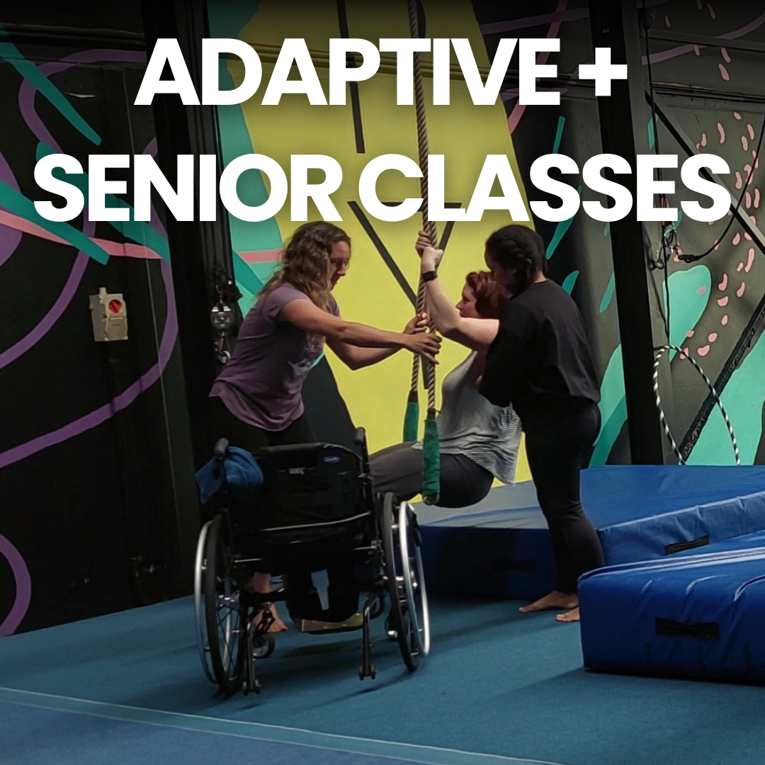 Adults Aerial Classes — HAPY Studio