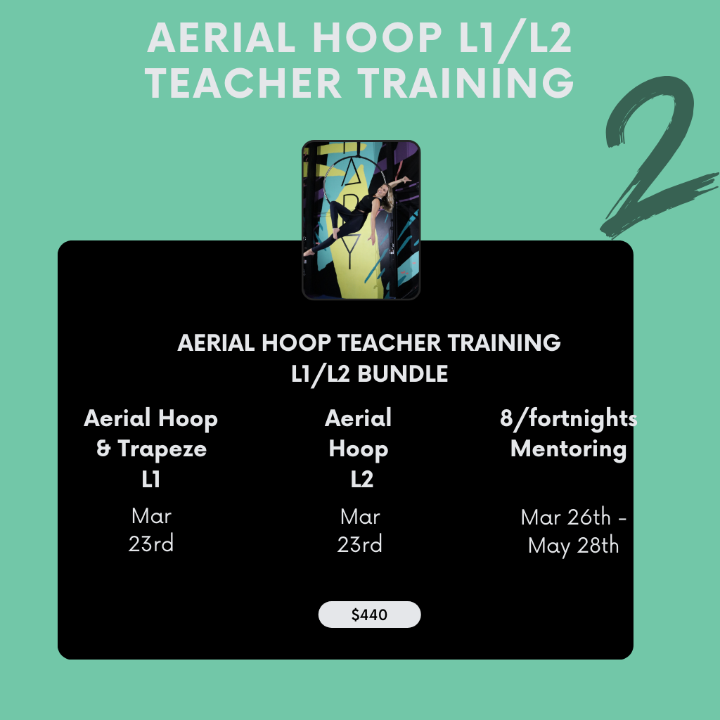 Aerial Wisdom Pricing — HAPY Studio