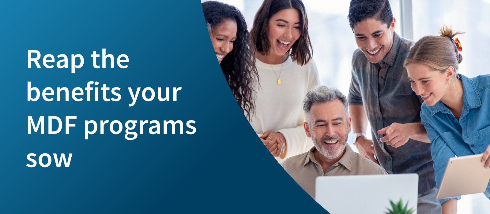 MDF programs: four common challenges for IT vendors — B2B marketing ...