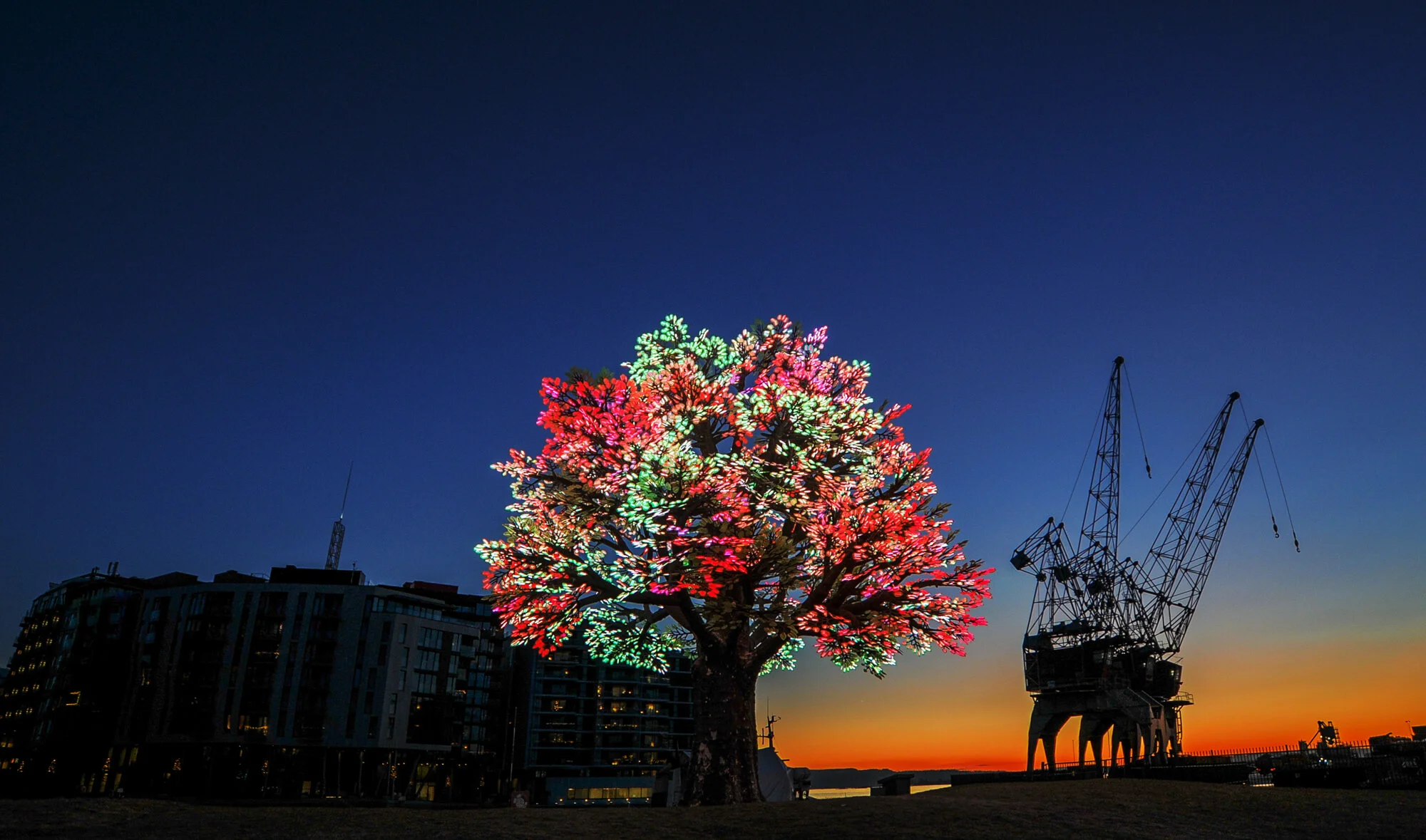 English — Oslo Treet