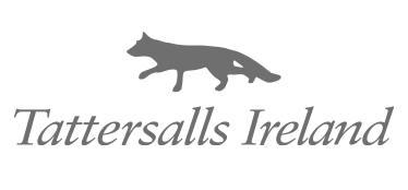 Overlander Vehicles | Horse Boxes | Vans | Horse Truck