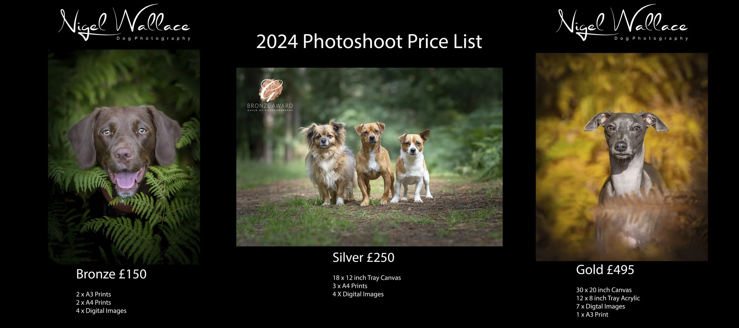 Nigel Wallace Dog Photography - Passionate about dog and pet photography