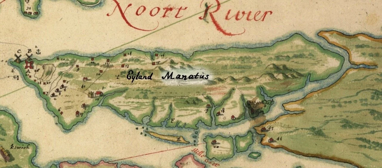 About — Manatus Development Group