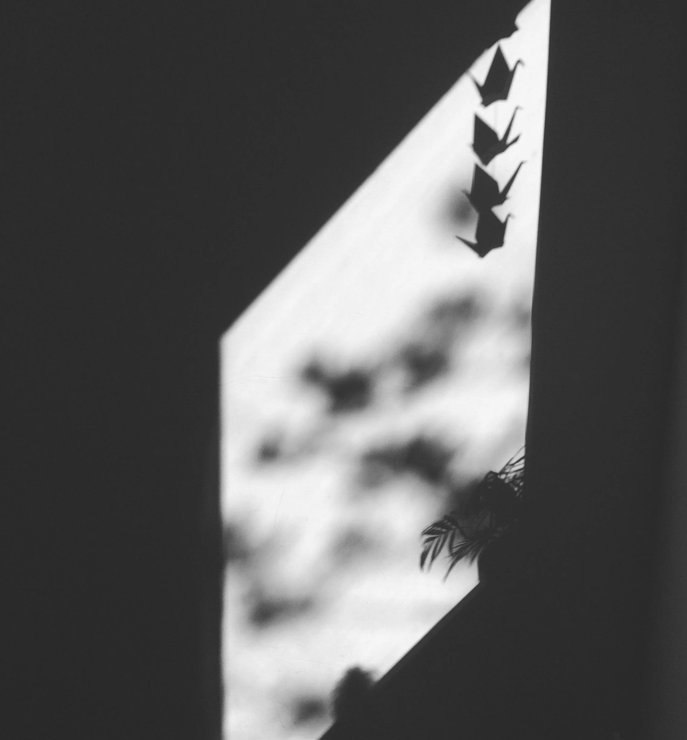 Blog | Studio Mei - a graphic and Squarespace web design studio