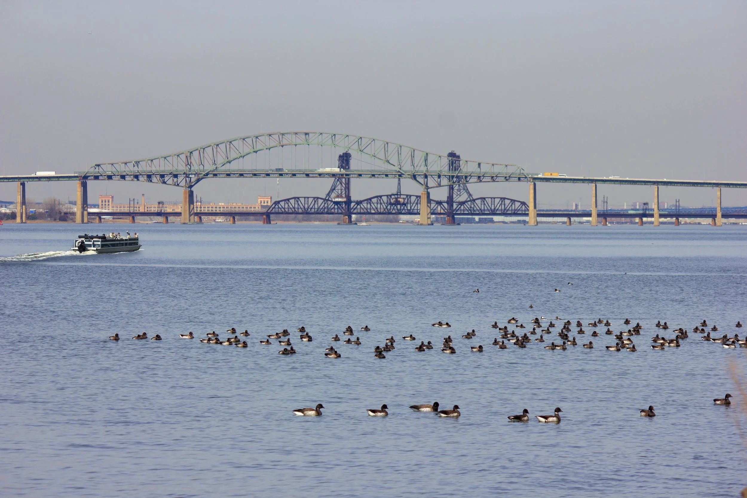 Eco-Cruises — Hackensack Riverkeeper