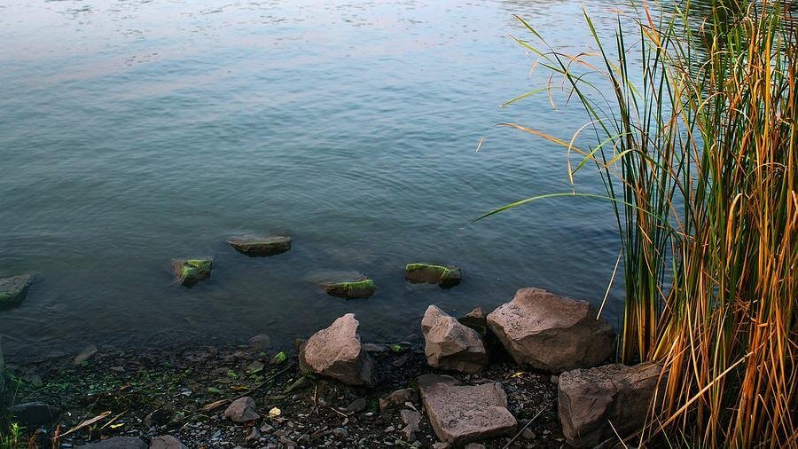 Advocacy — Hackensack Riverkeeper