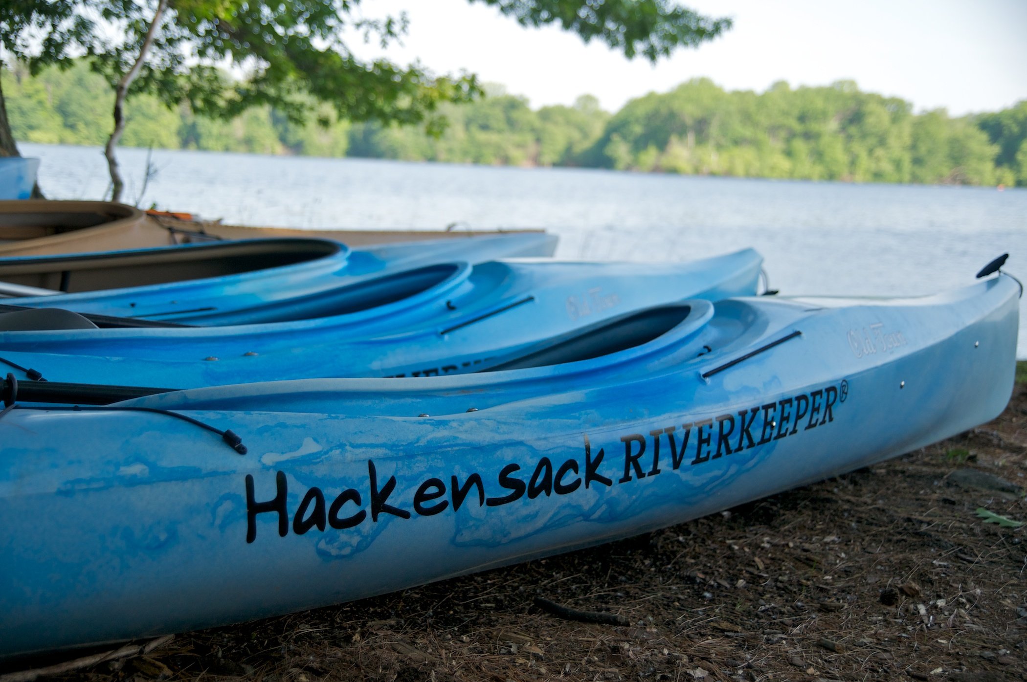 Laurel Hill Park — Hackensack Riverkeeper