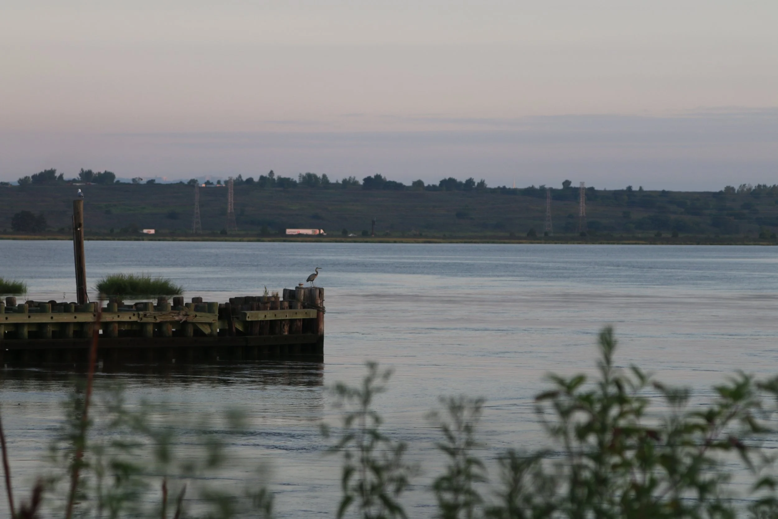River Cleanup — Hackensack Riverkeeper