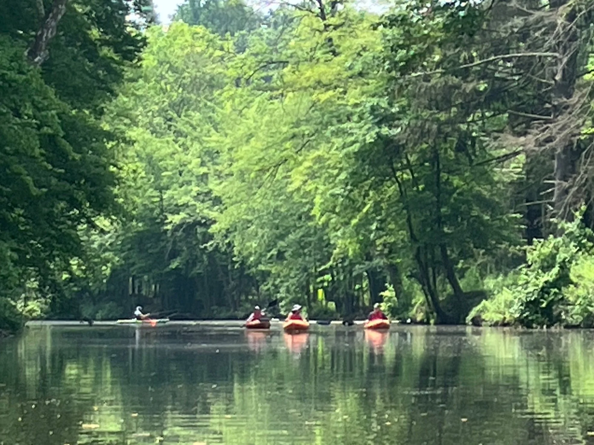Van Buskirk Island — Hackensack Riverkeeper