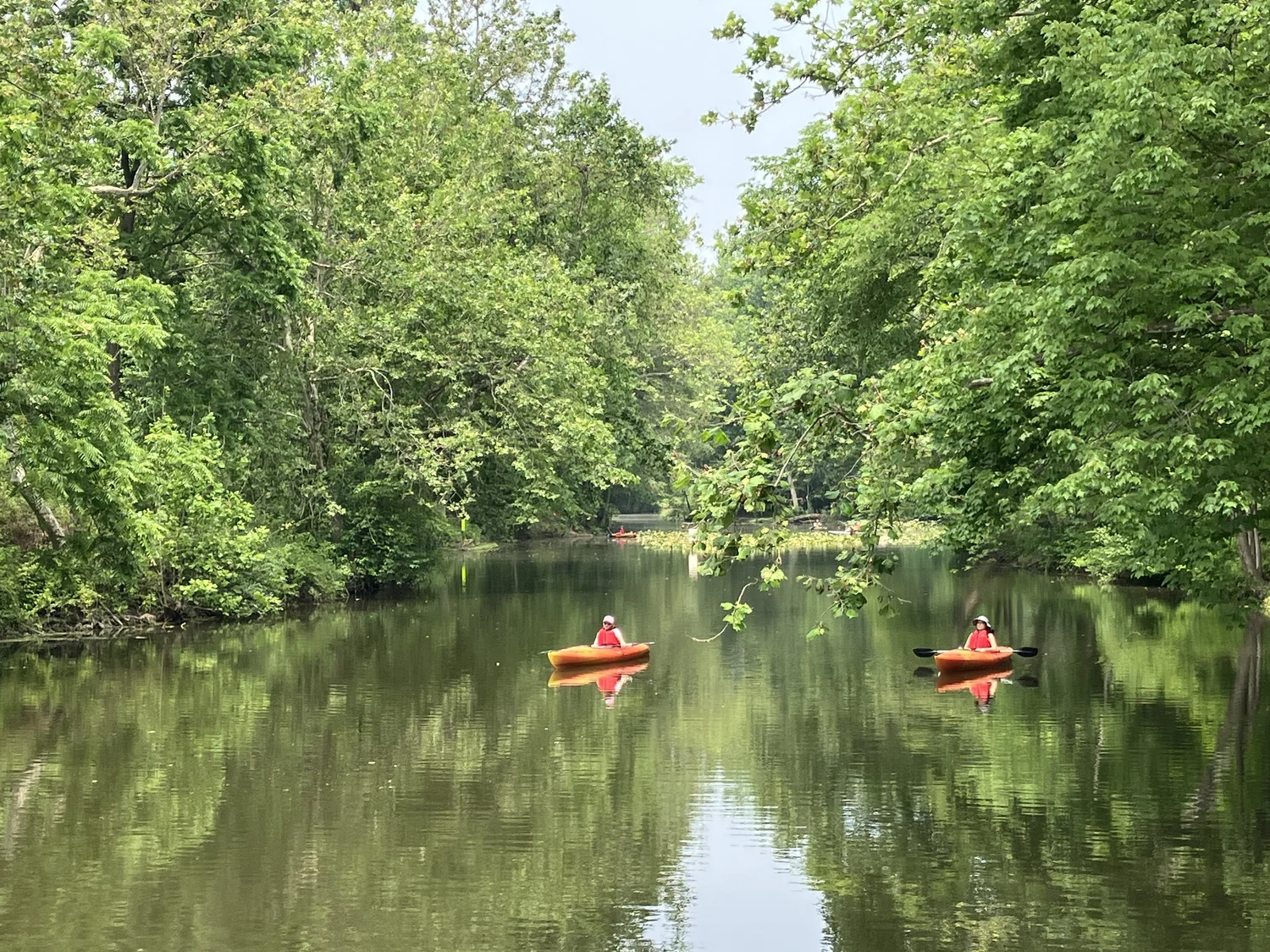 Paddling — Hackensack Riverkeeper