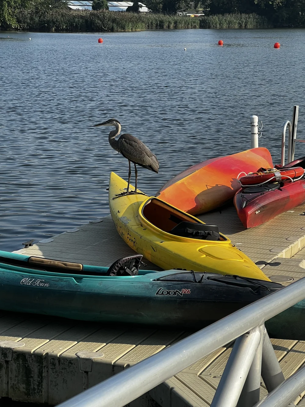 Overpeck Park — Hackensack Riverkeeper