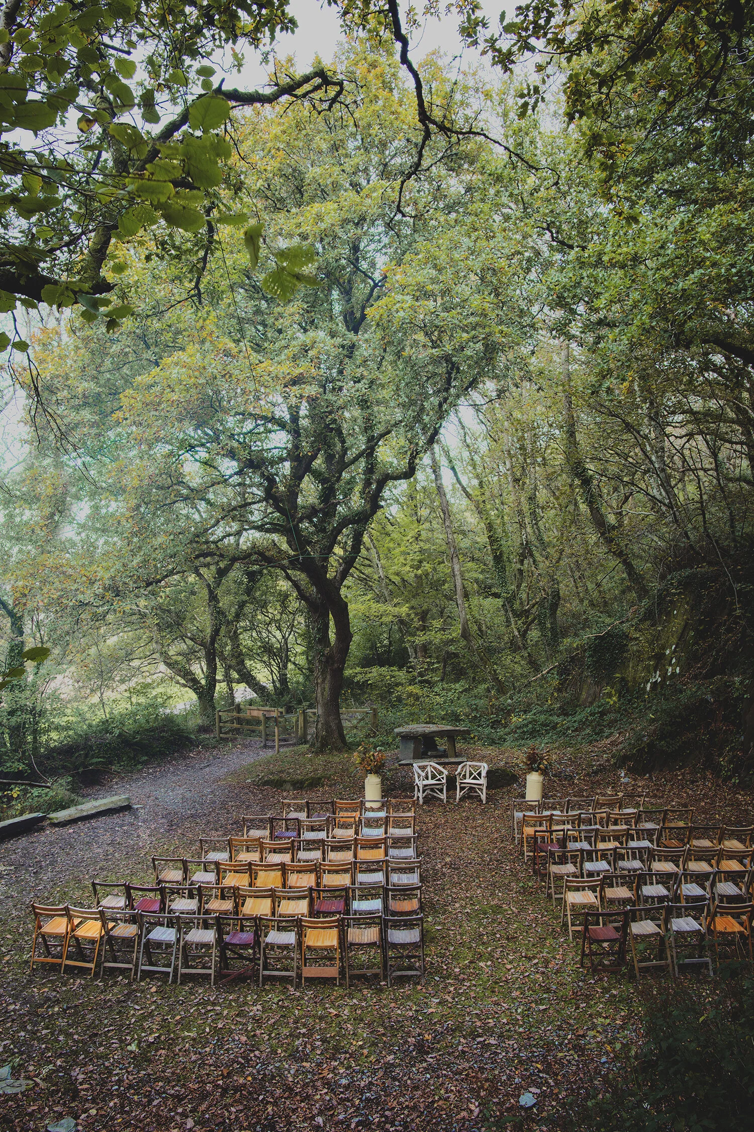 fforest weddings