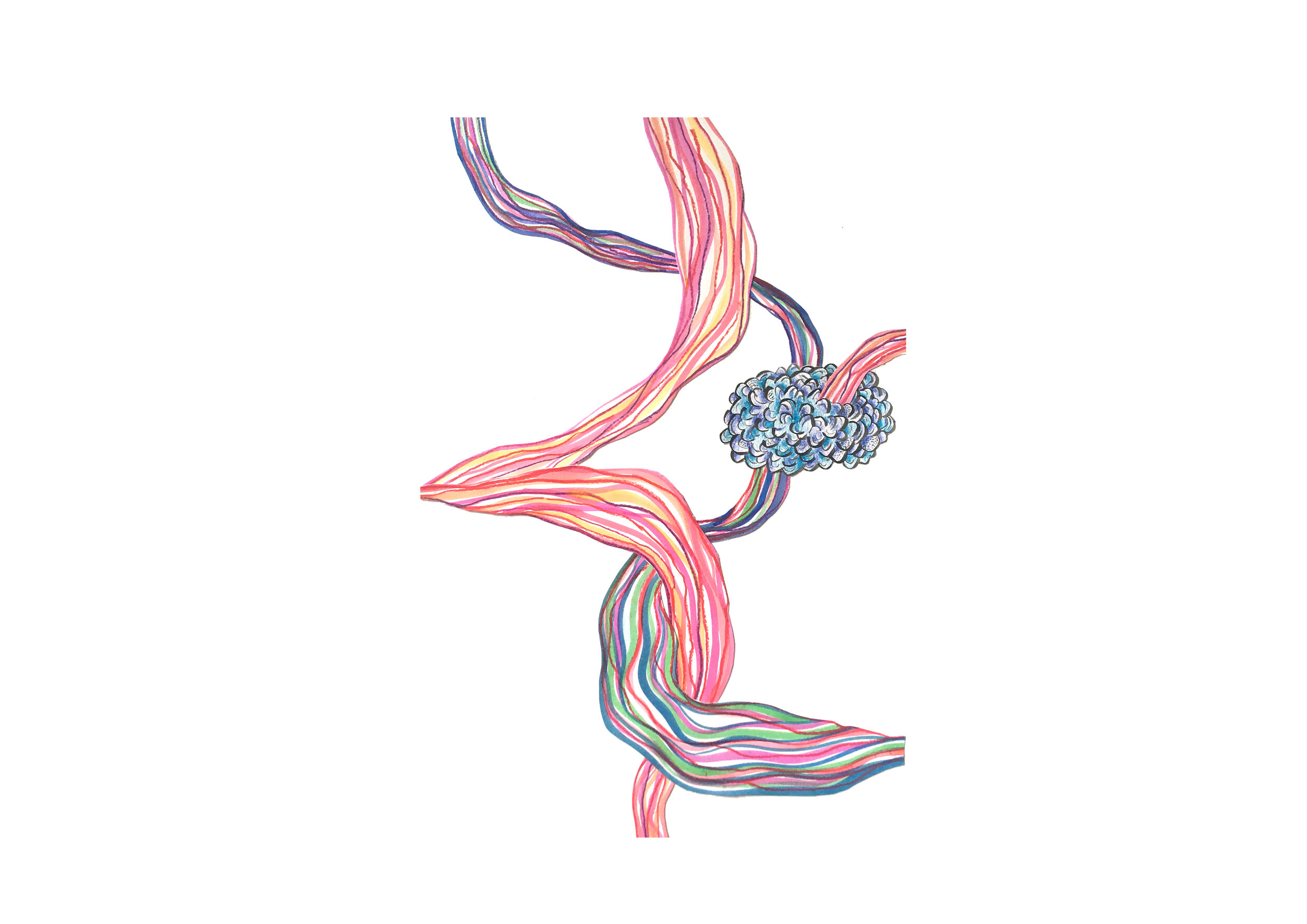 Emily stapleton-jefferis