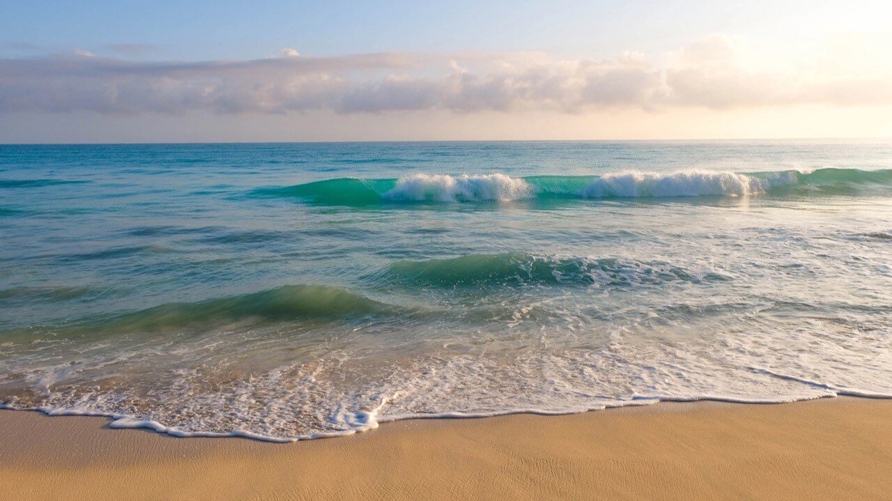 Community Life Services