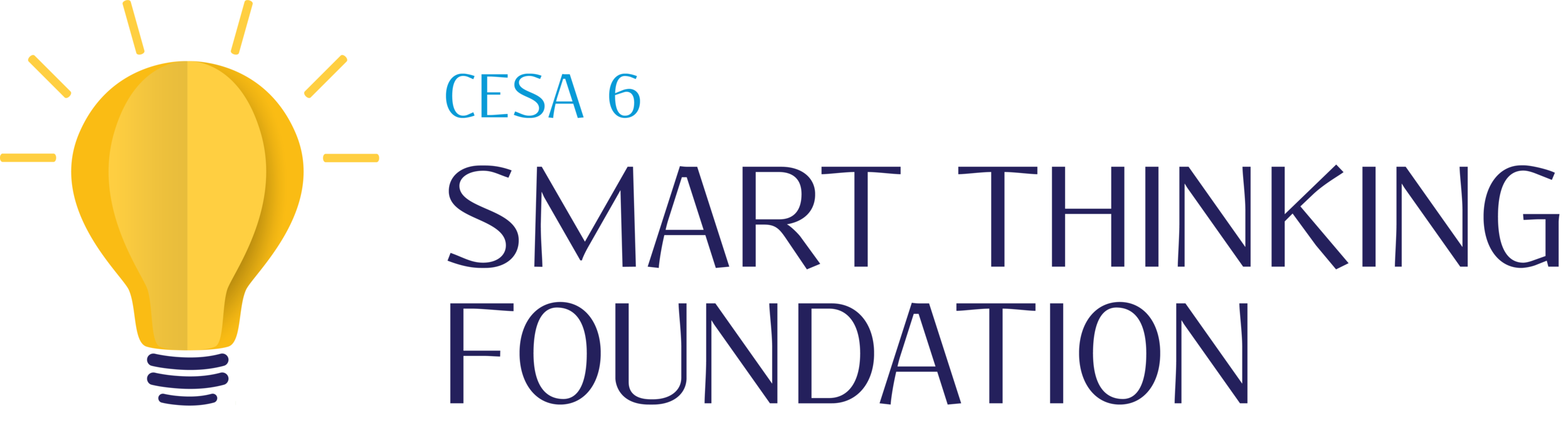 SMART THINKING FOUNDATION, INC.