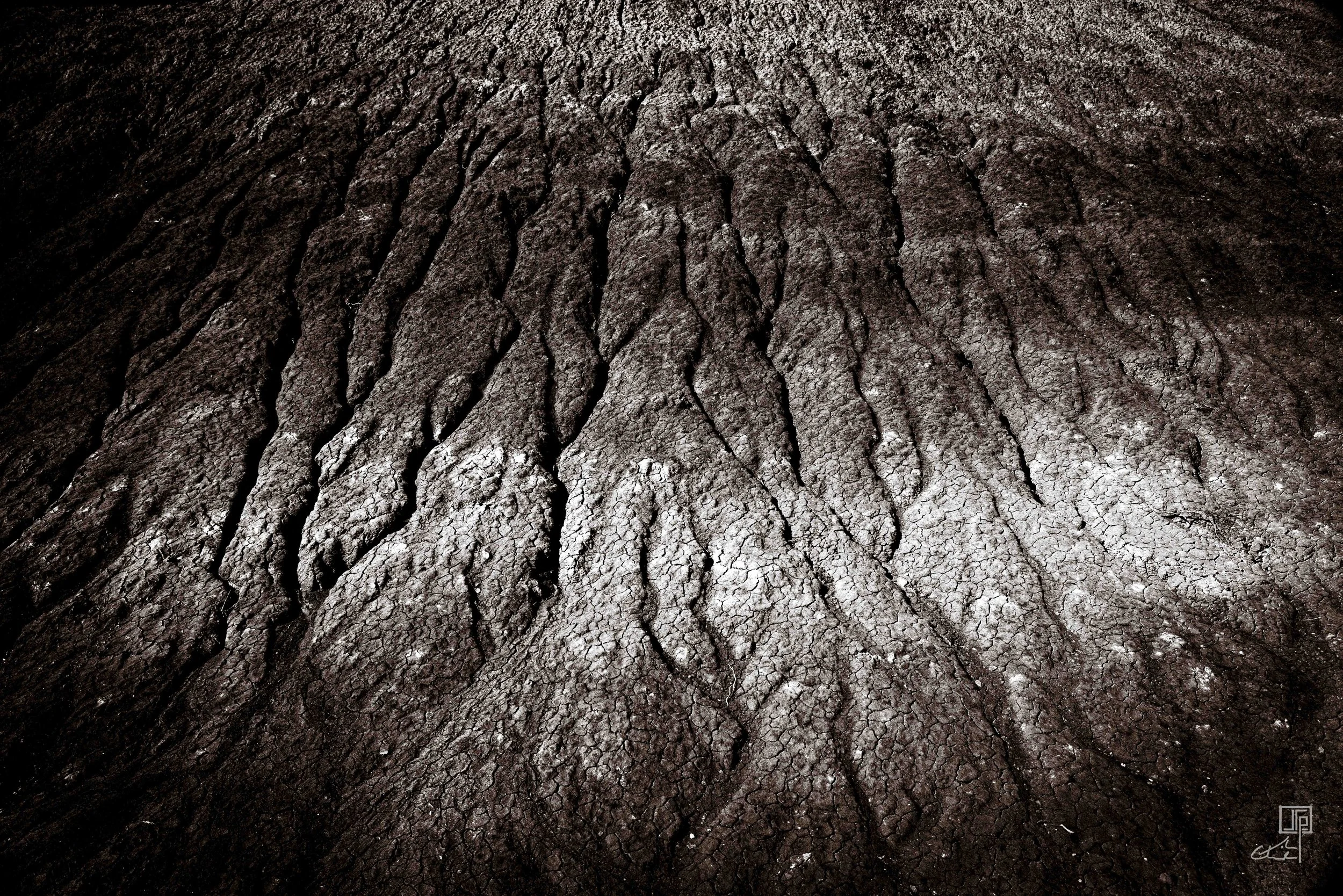 Softscapes — chiodo.DESIGN