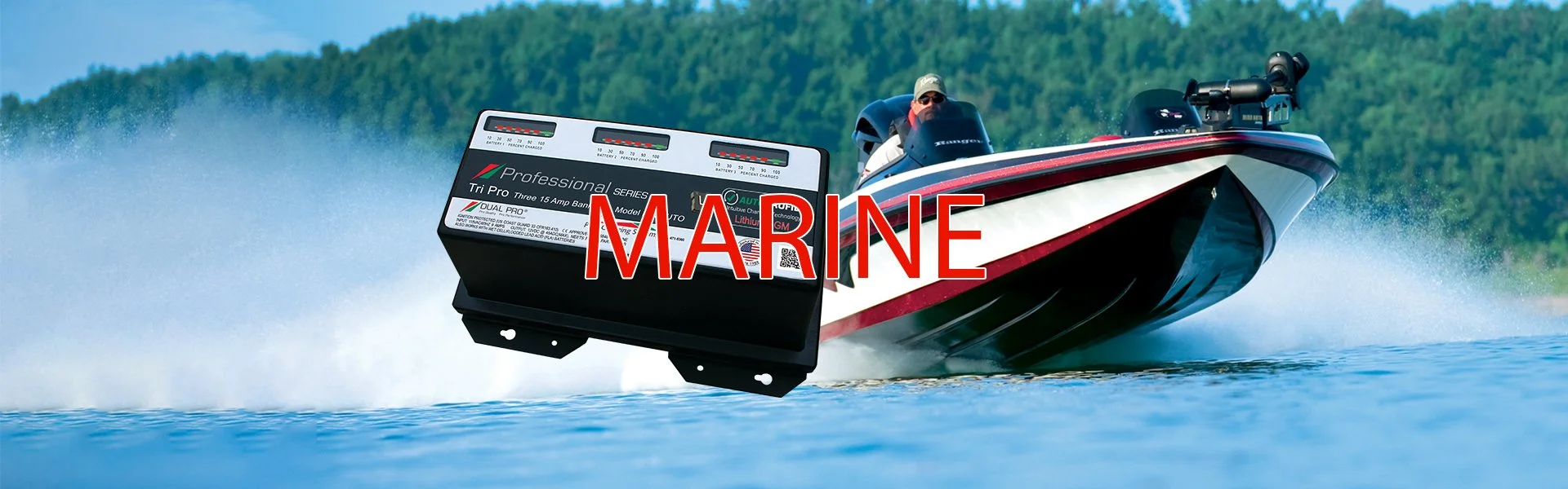 Pro Charging Systems