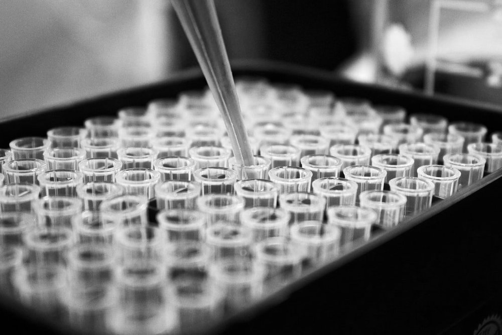 Capsida Clinical Trial Information — STXBP1 Foundation