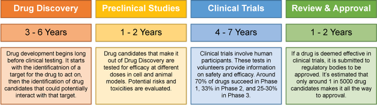 Preclinical Studies in Drug Development — STXBP1 Foundation