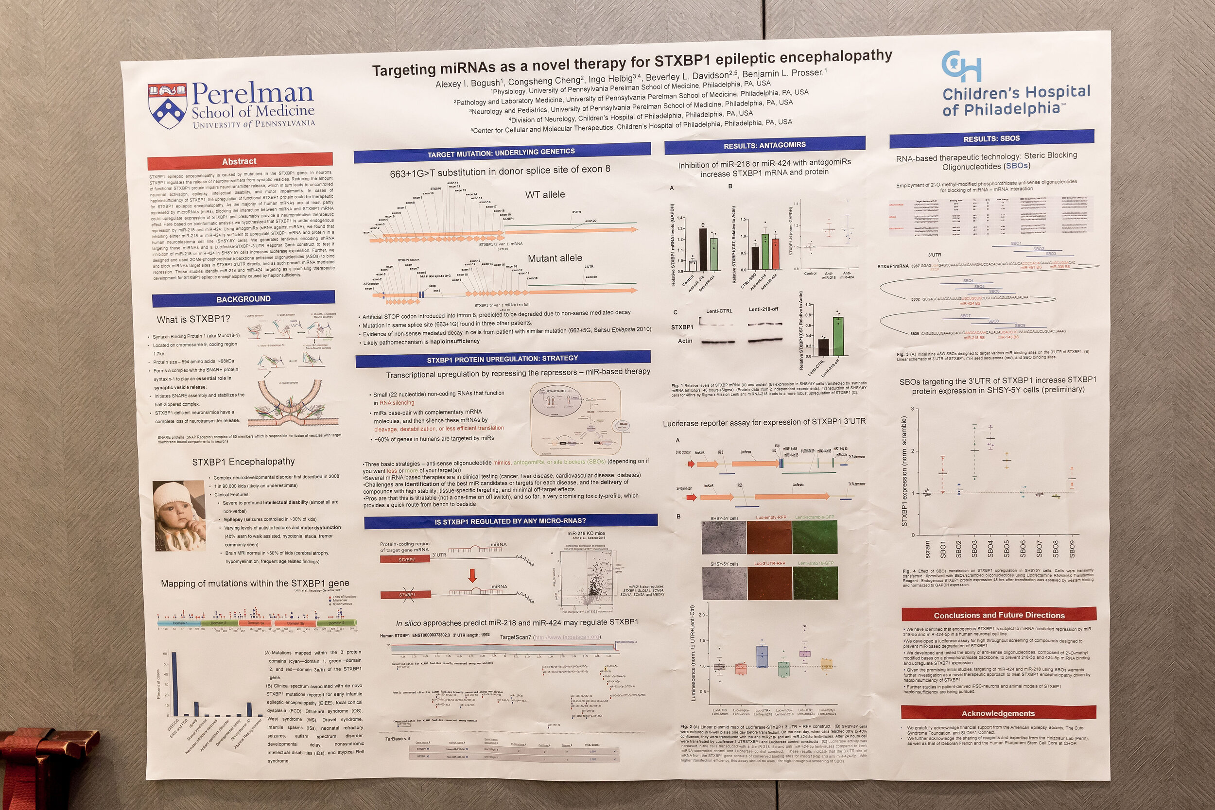 SIFM 2019 Posters — STXBP1 Foundation