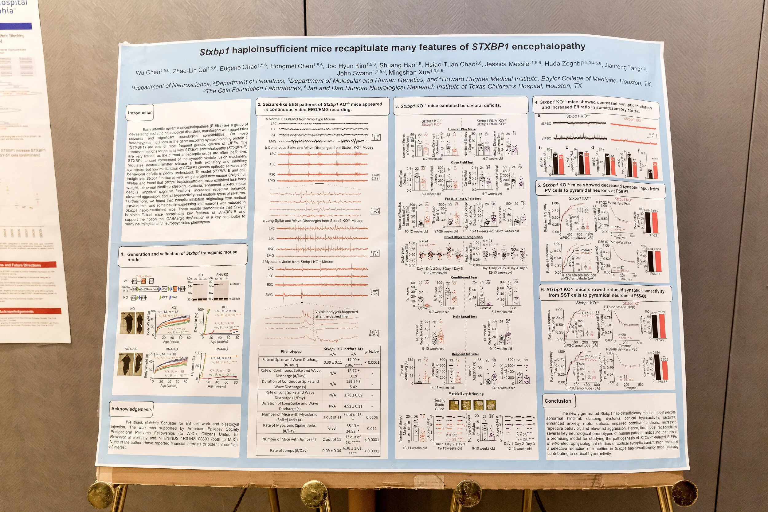 SIFM 2019 Posters — STXBP1 Foundation